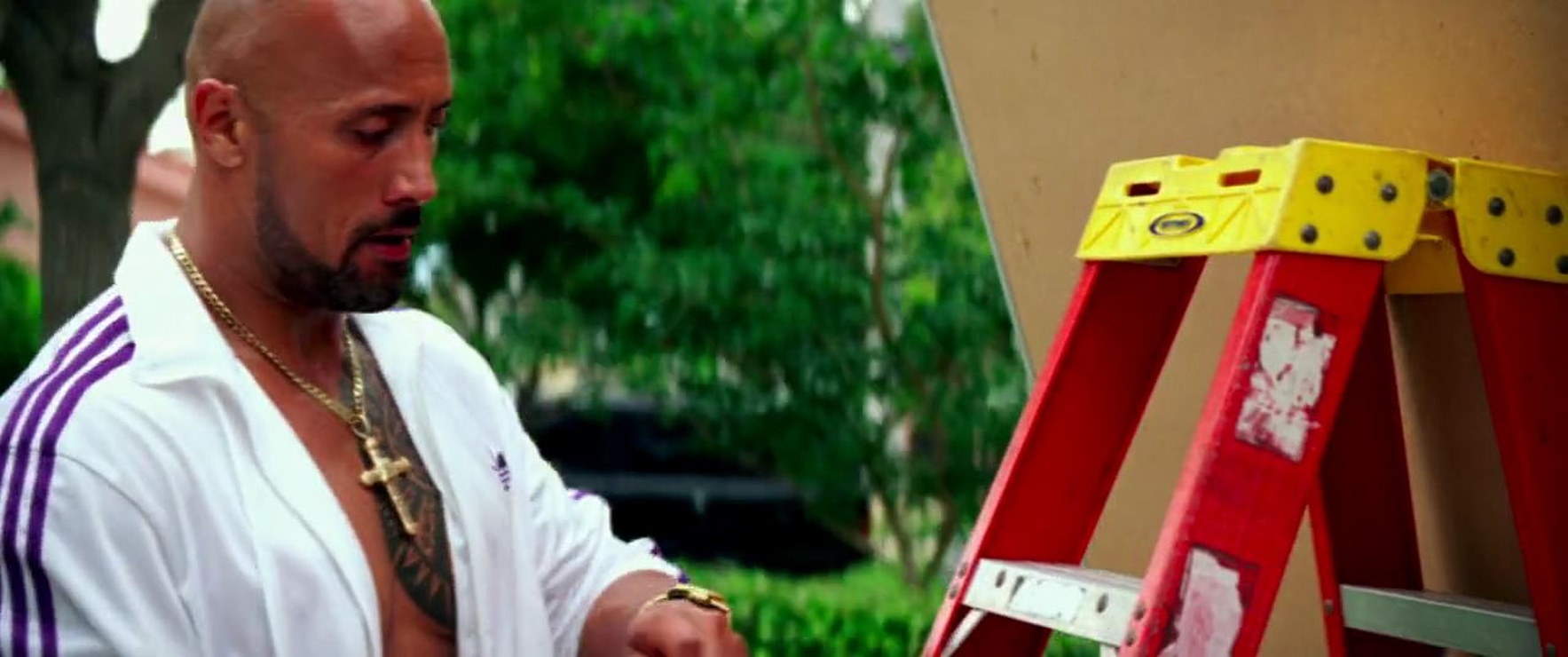 Picture of Pain & Gain