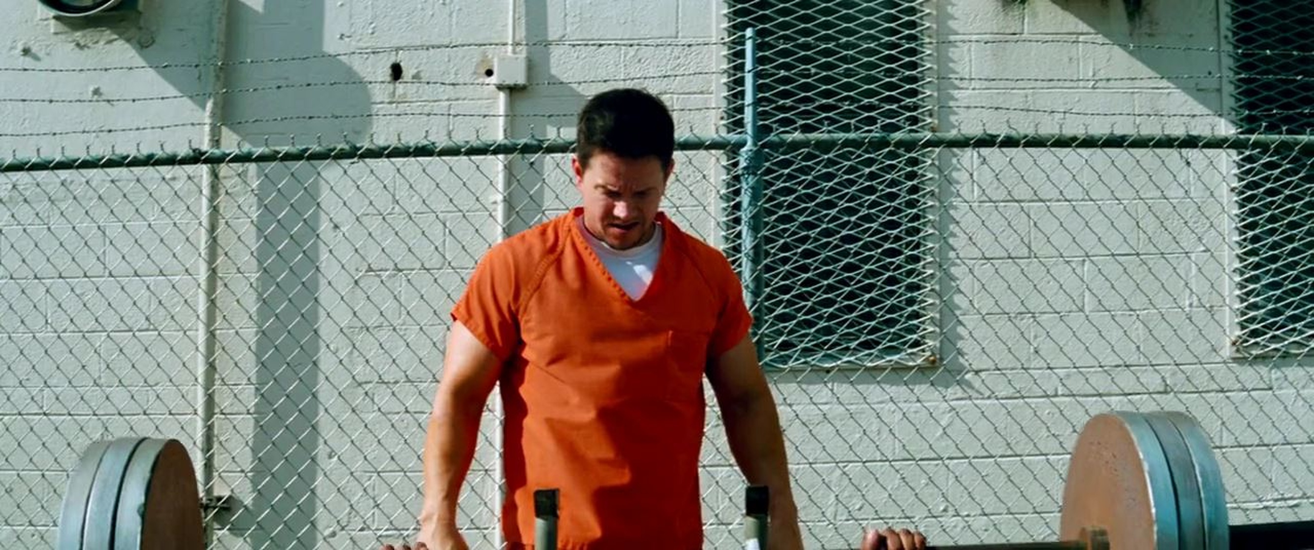 Picture of Pain & Gain