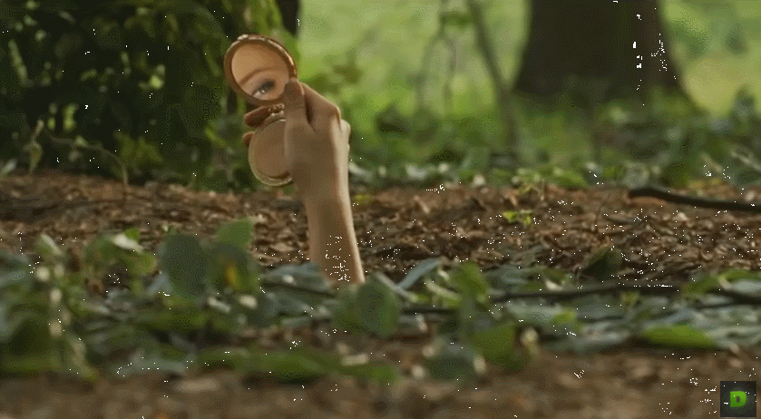 Picture of Gitler kaput!