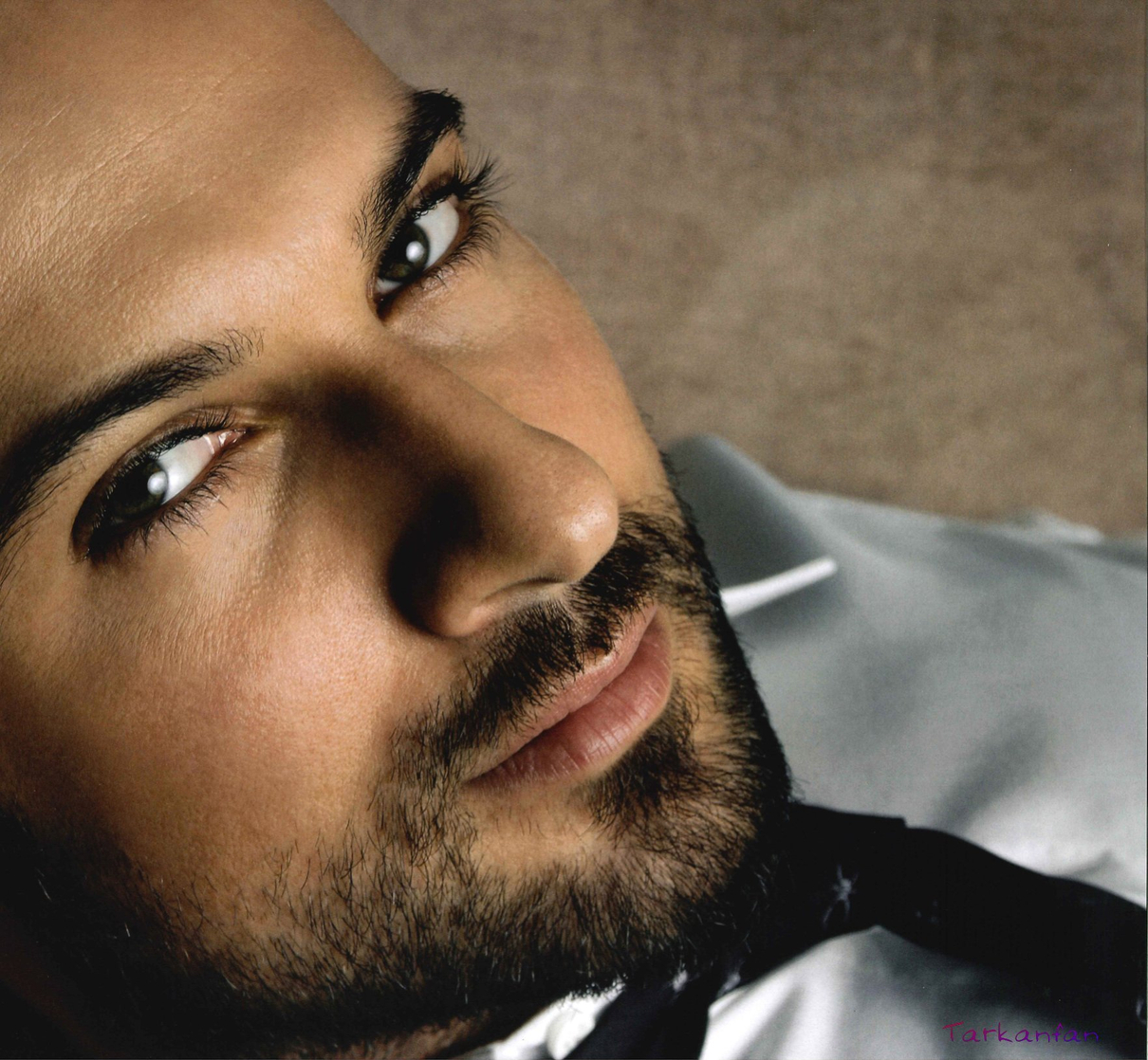 Picture of Tarkan