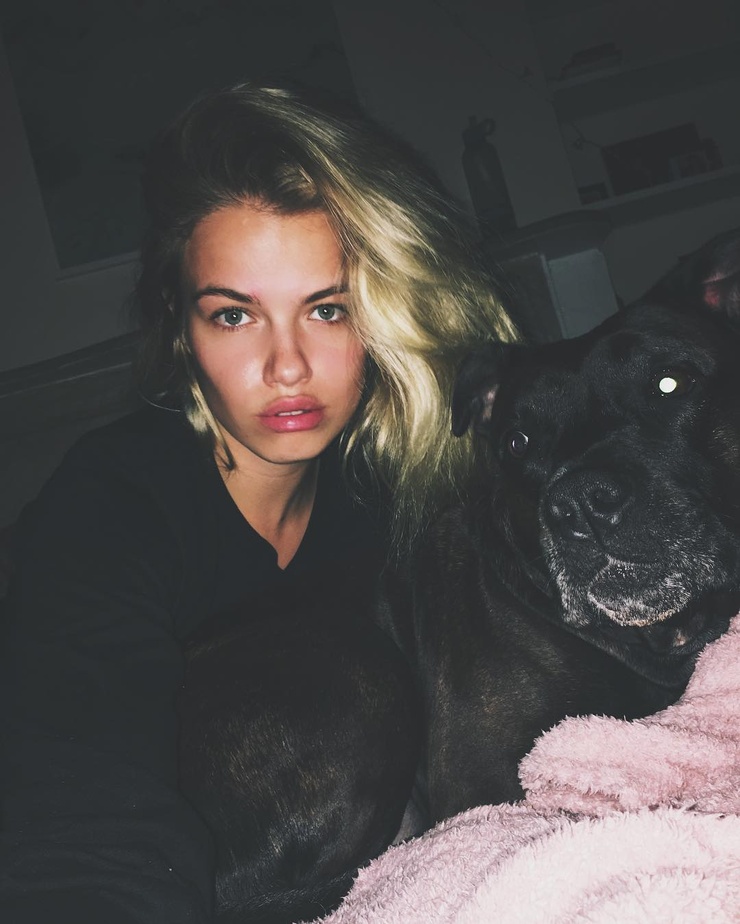 Picture of Hailey Clauson