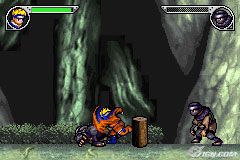 Picture of Naruto: Ninja Council 2