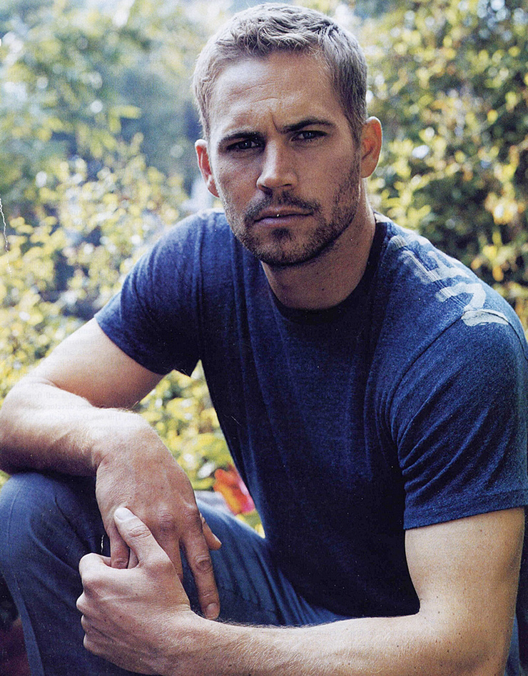 Picture of Paul Walker