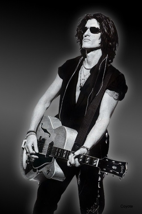 Joe Perry picture
