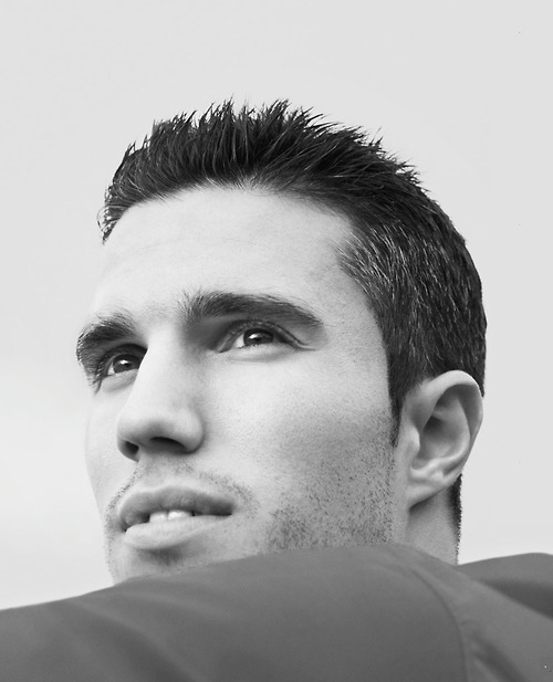 Robin van Persie image