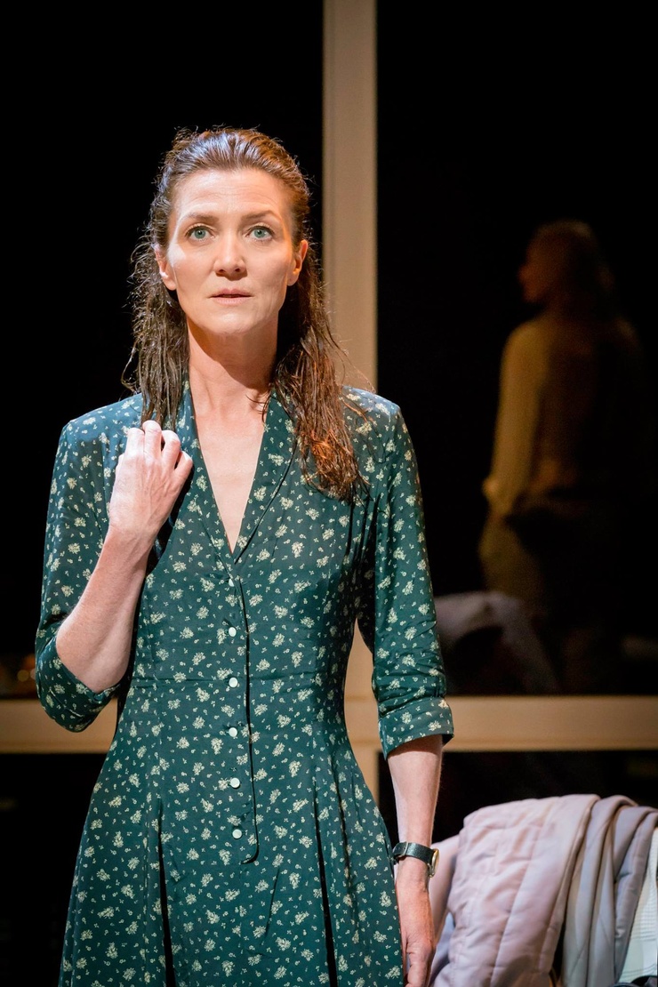 Picture of Michelle Fairley