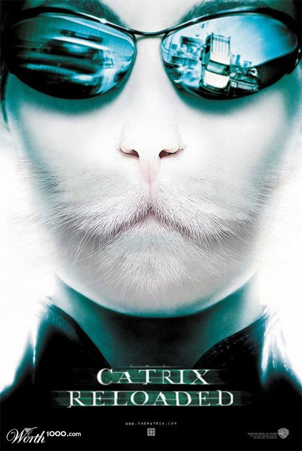 The Catrix Reloaded