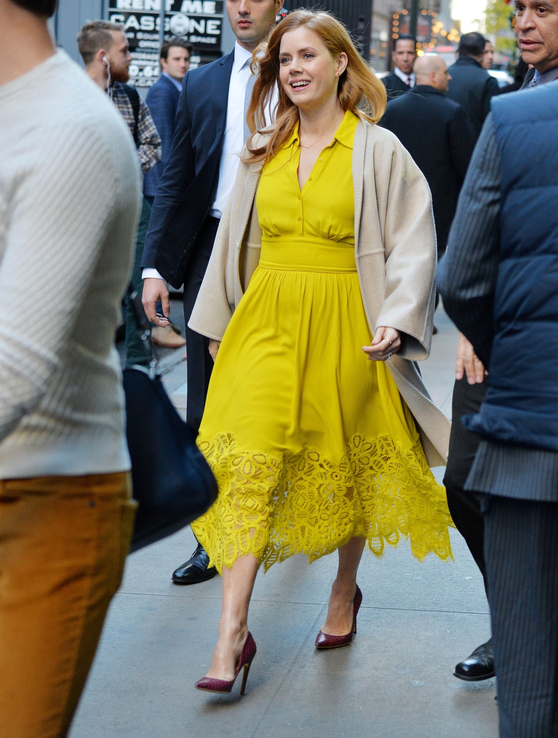 Amy Adams Picture