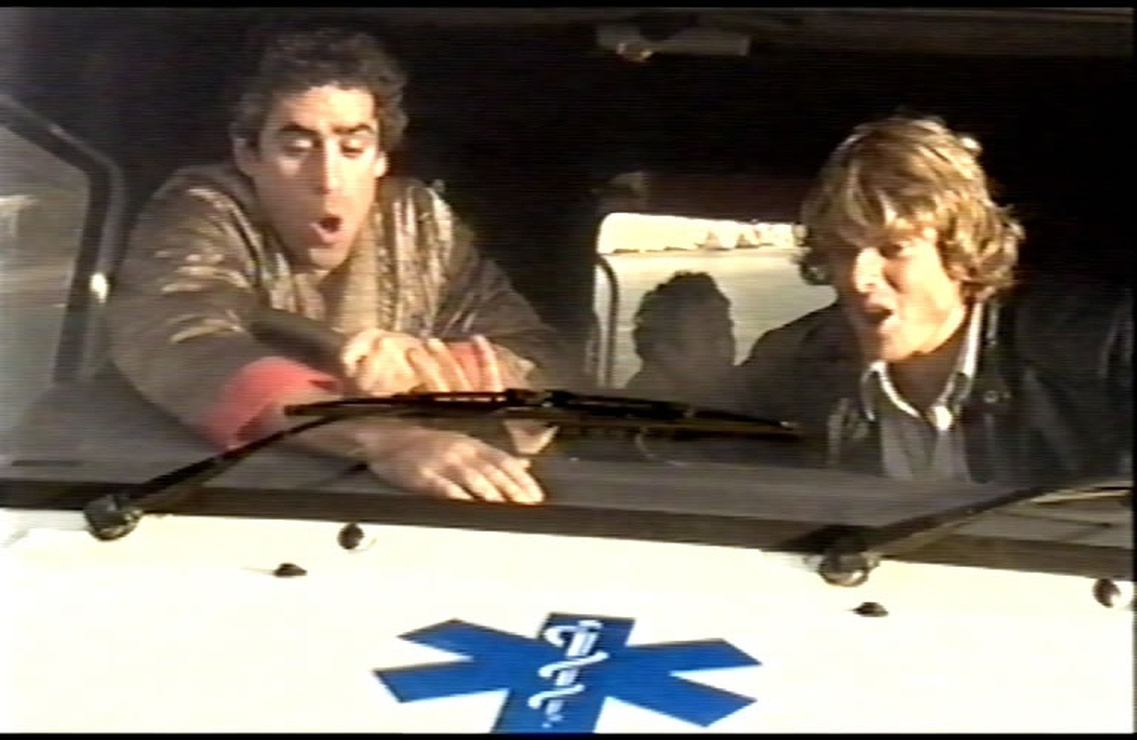 Picture of Green Wing