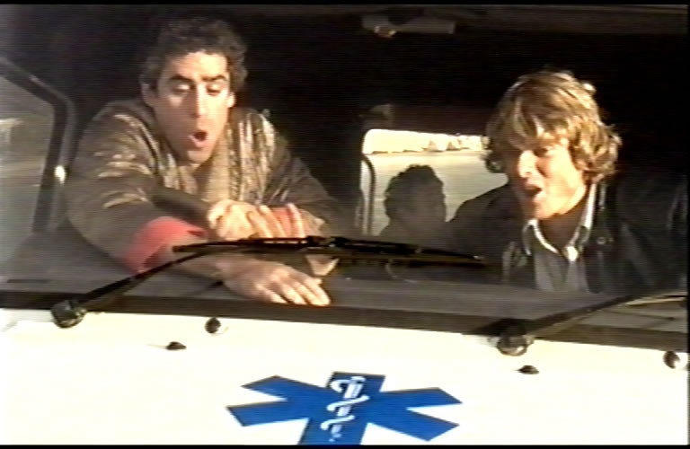 Picture of Green Wing