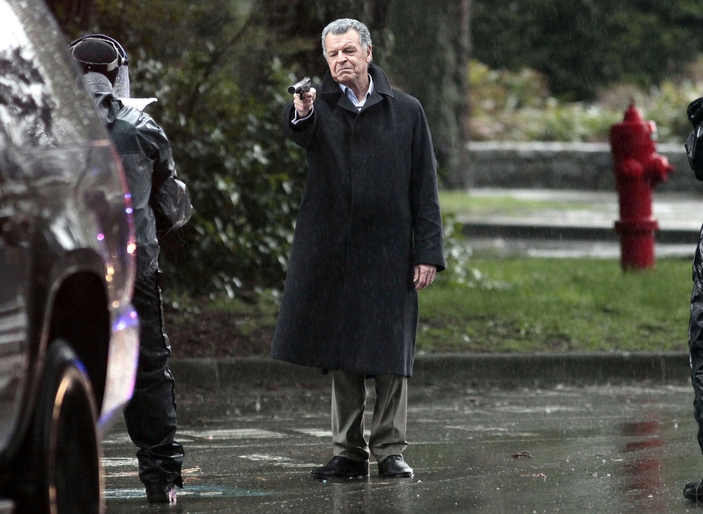 Picture of Walter Bishop (Walternate)