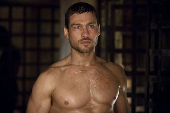 Picture of Andy Whitfield