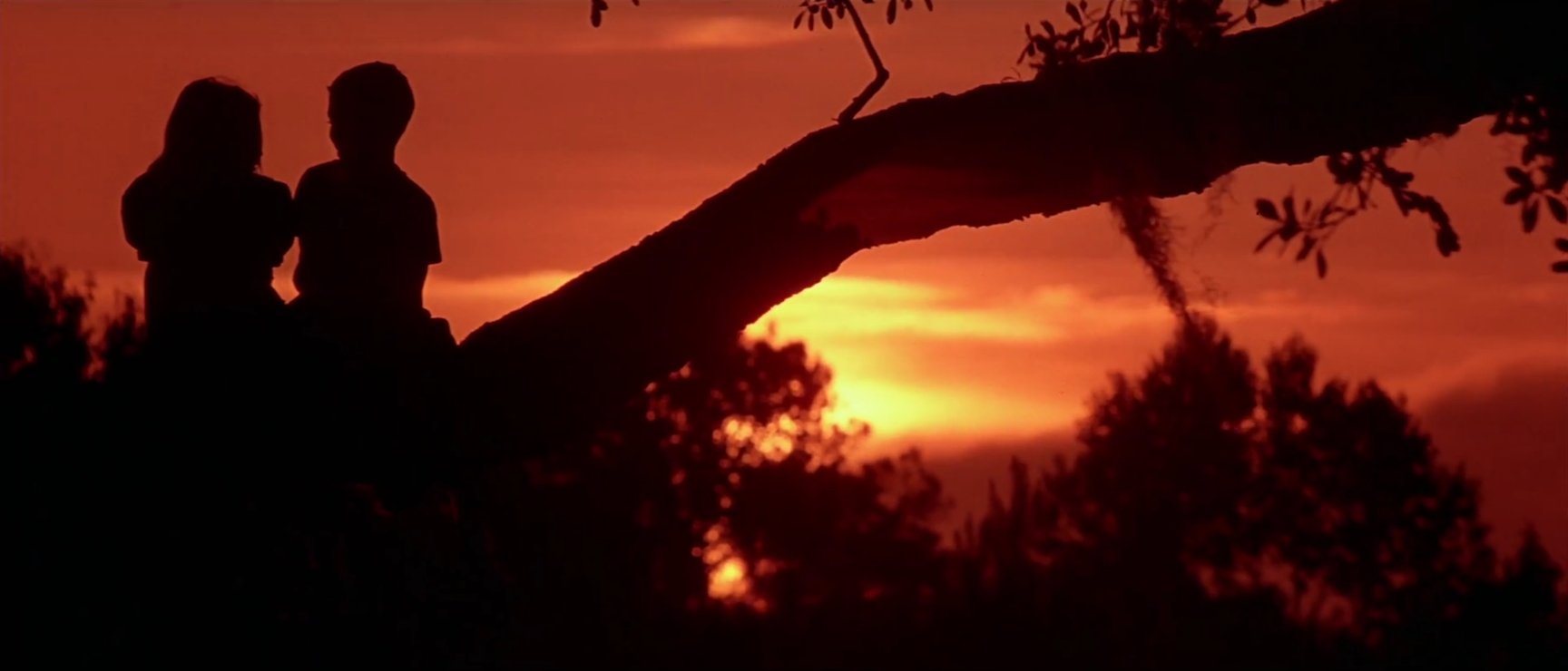 Picture of Forrest Gump