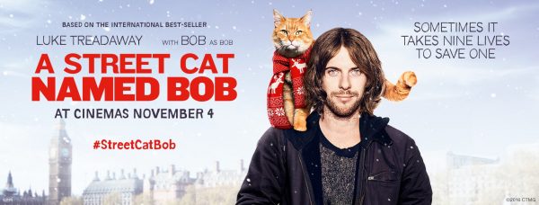 Picture of A Street Cat Named Bob