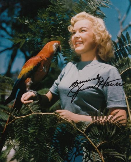 Picture of June Haver