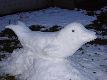 Snow Dolphin