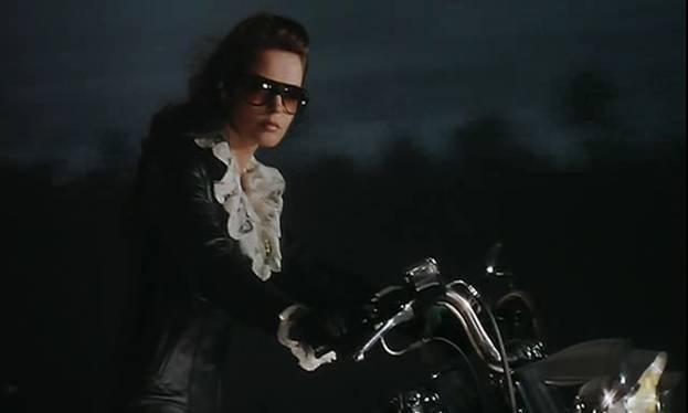 Picture of The Beautiful Prisoner