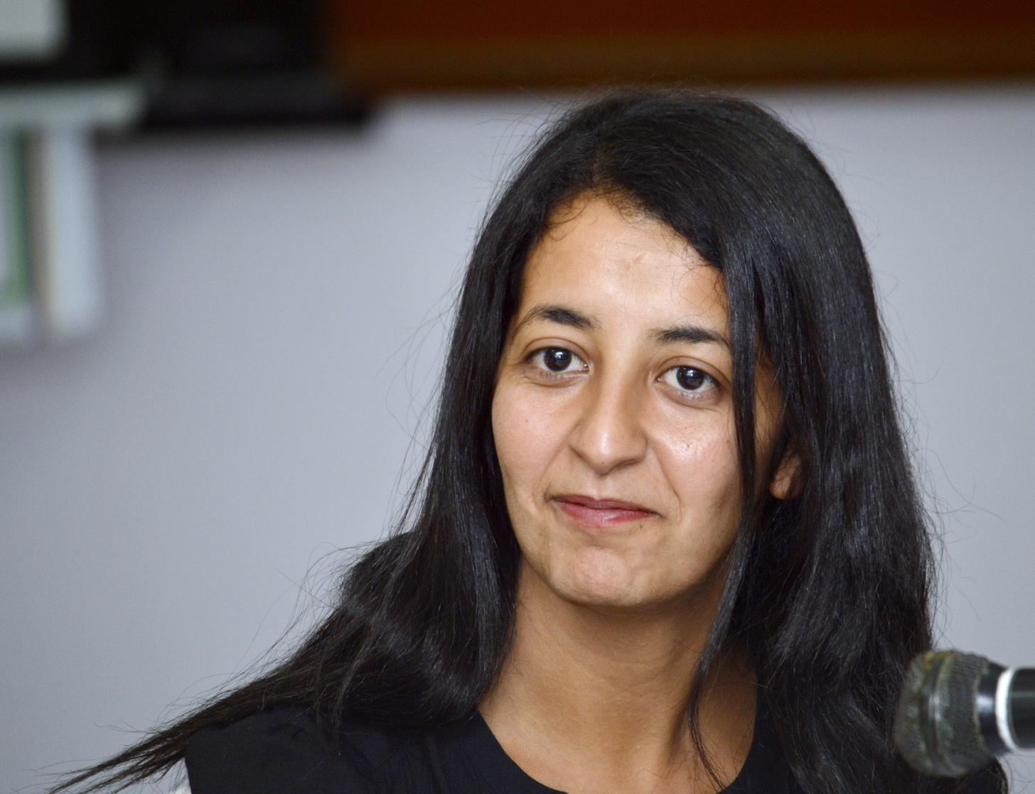 Karima Delli picture