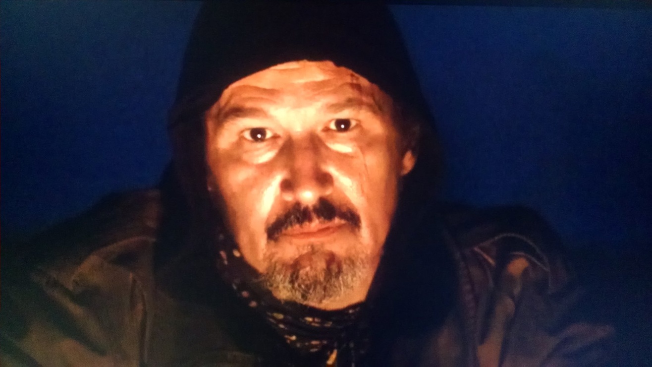 Picture of Stake Land II