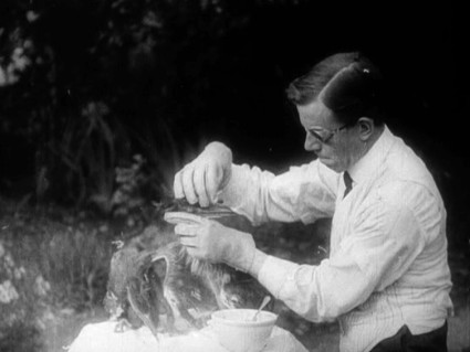 Picture of F. Percy Smith