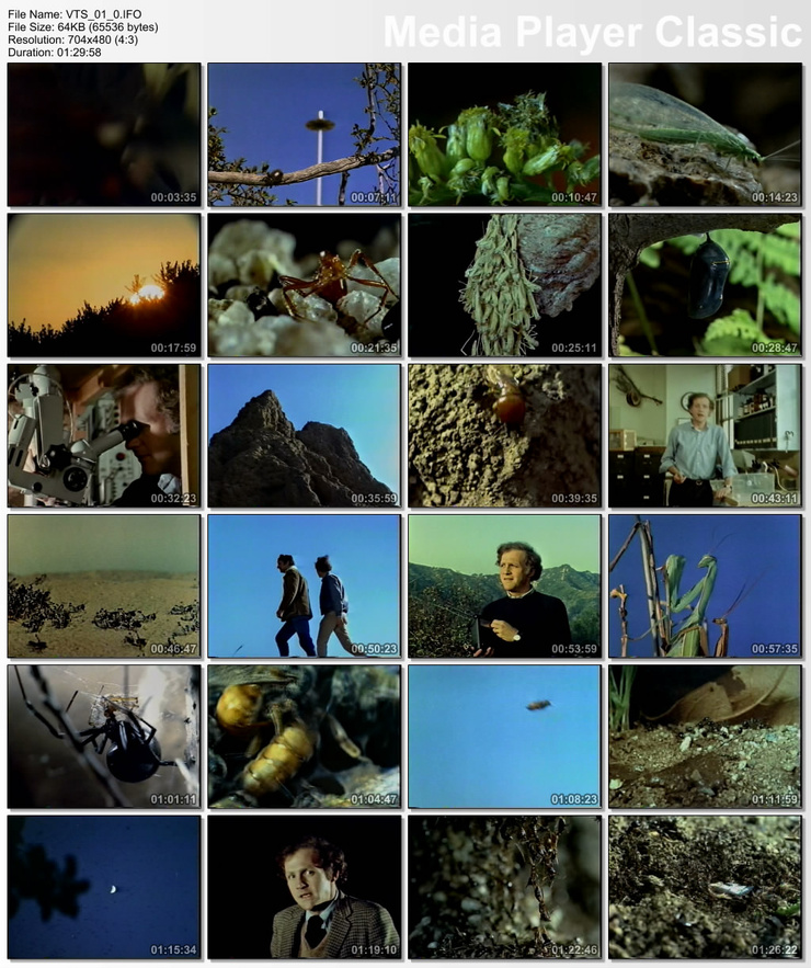 Image of The Hellstrom Chronicle