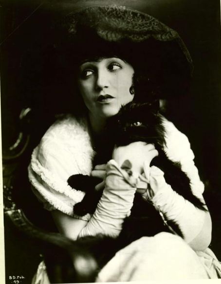 Picture of Bebe Daniels