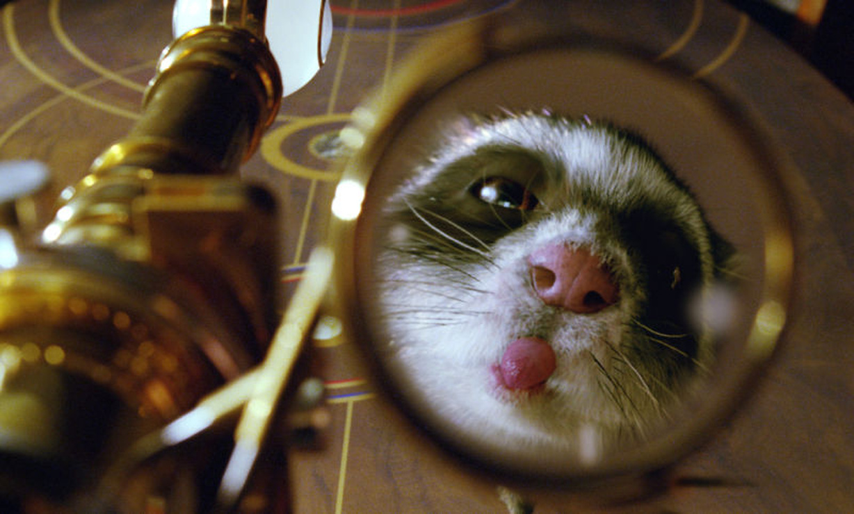 Picture of The Golden Compass