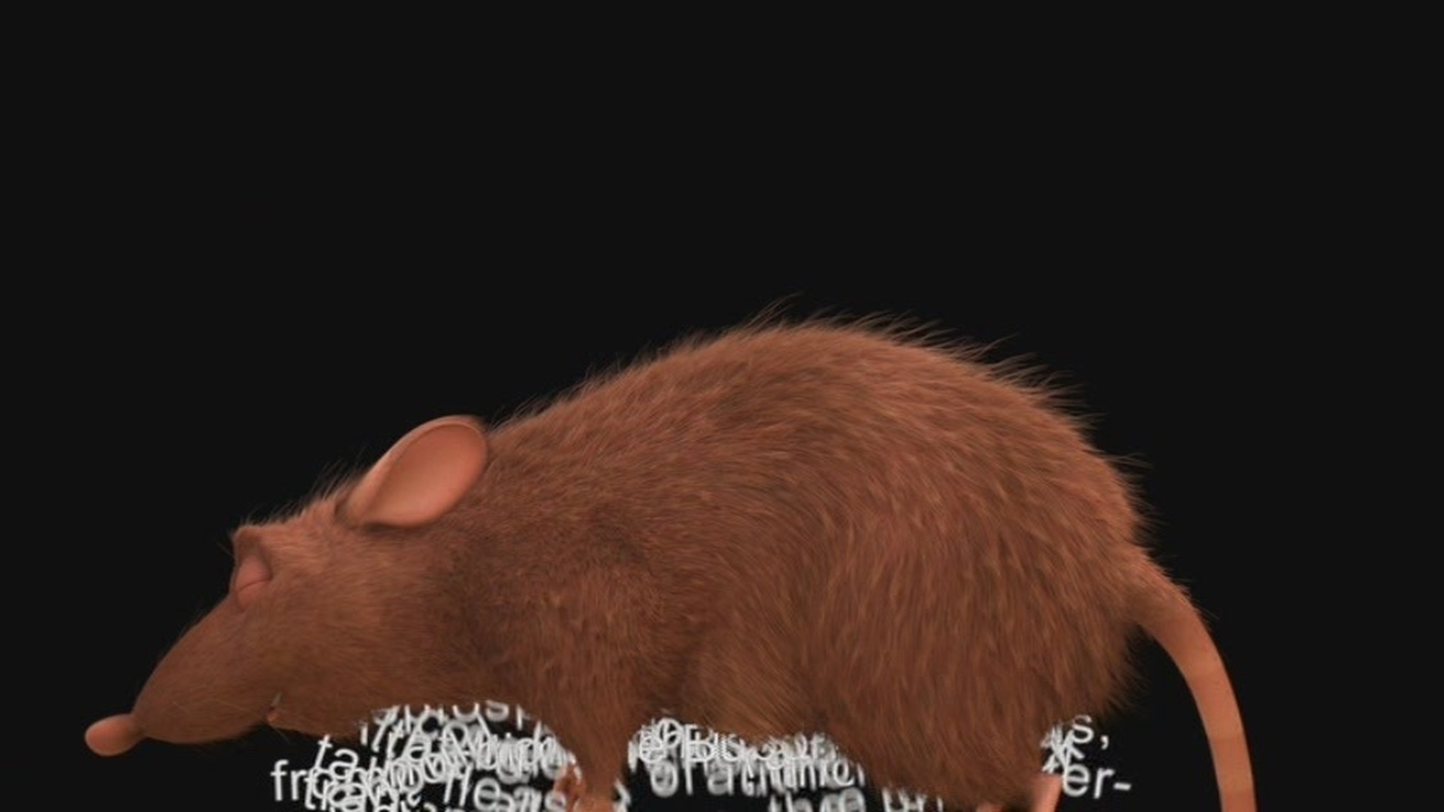 Your Friend the Rat picture