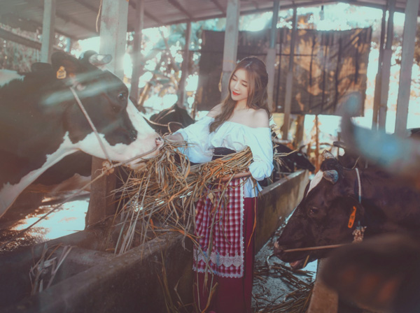 Picture of Elly Nguyen