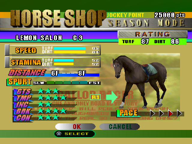 Gallop Racer image