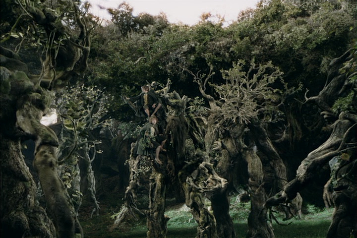 The Ents Carry the Hobbits