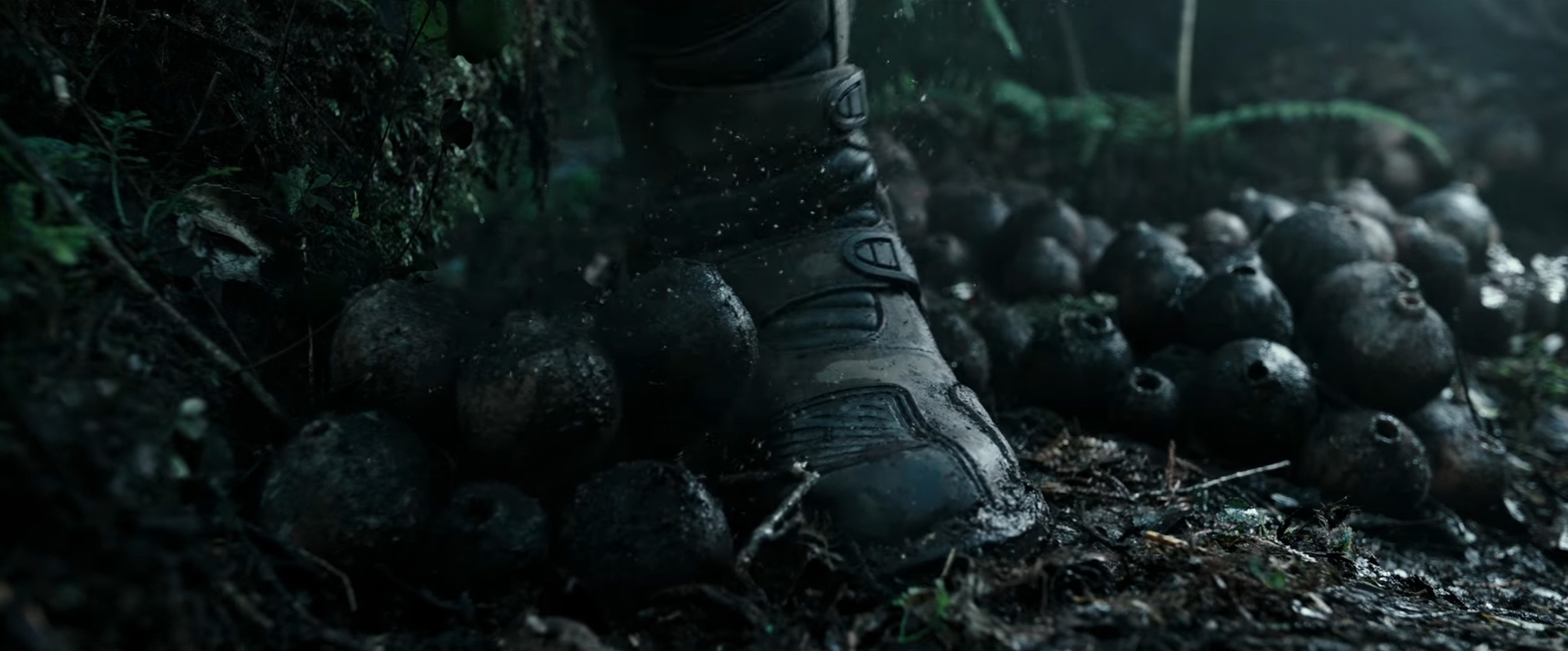 Picture of Alien: Covenant