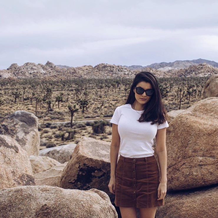 @ Joshua Tree National Park (California, USA)