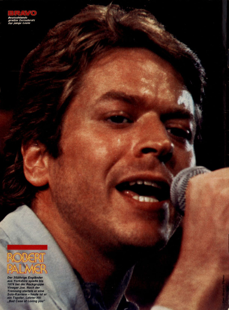 Picture of Robert Palmer