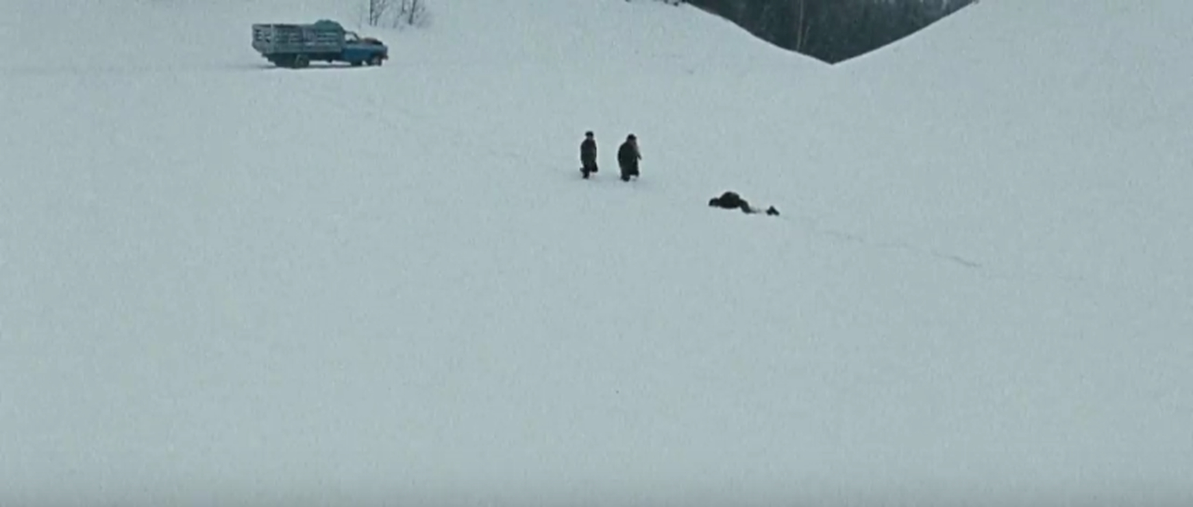 Picture of Snow & Ashes