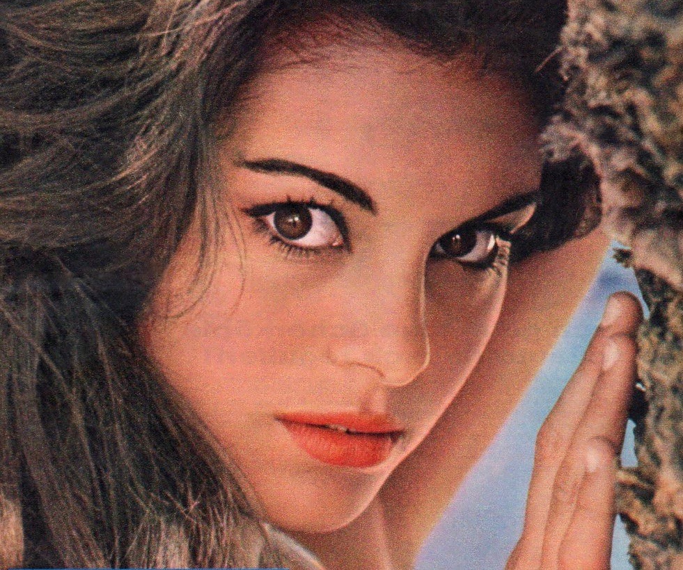 Picture of Daliah Lavi