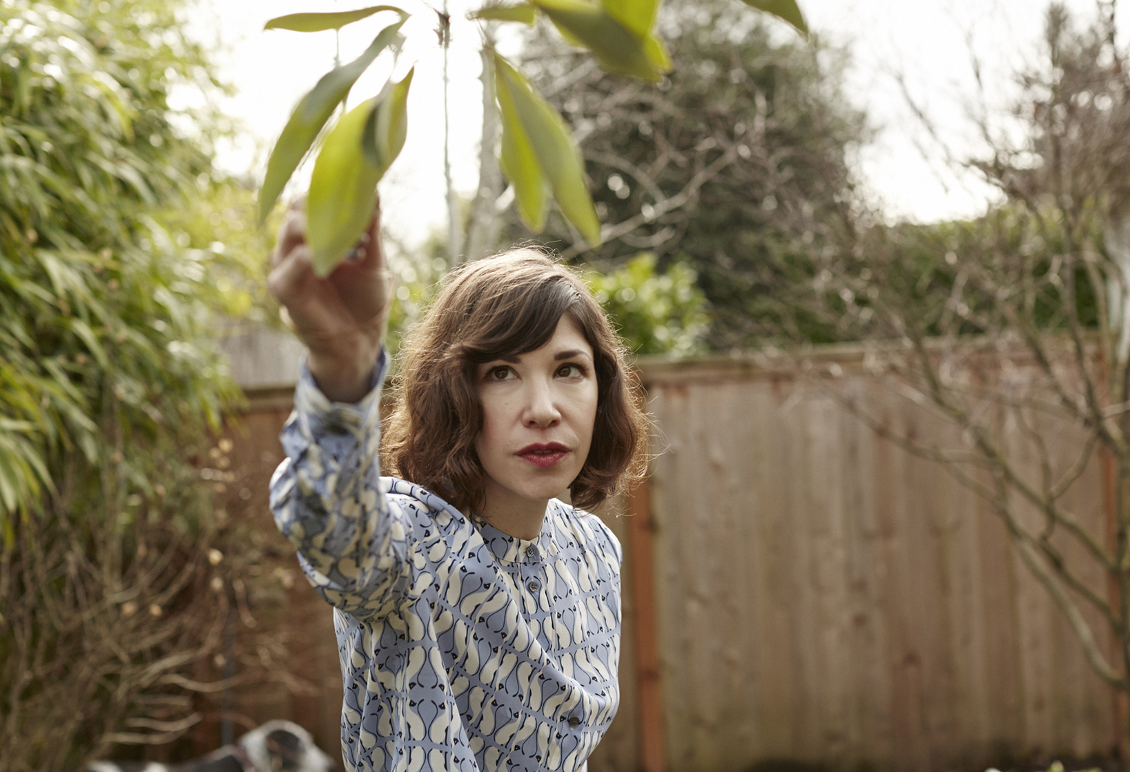 Picture of Carrie Brownstein