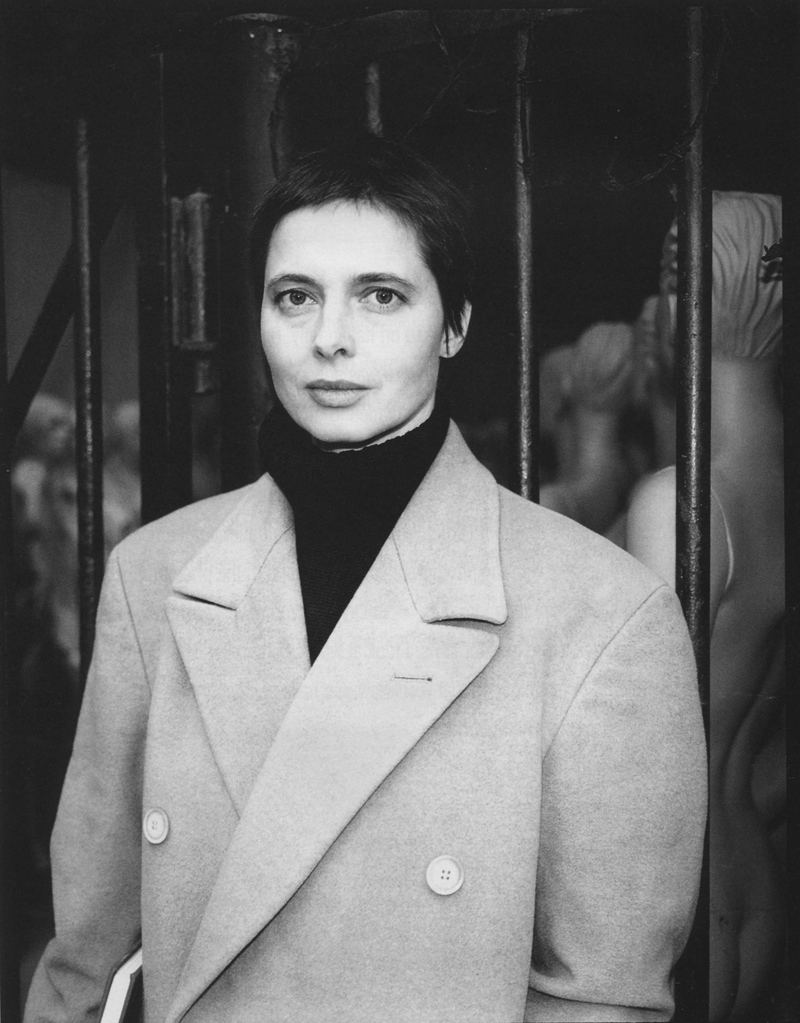Picture of Isabella Rossellini