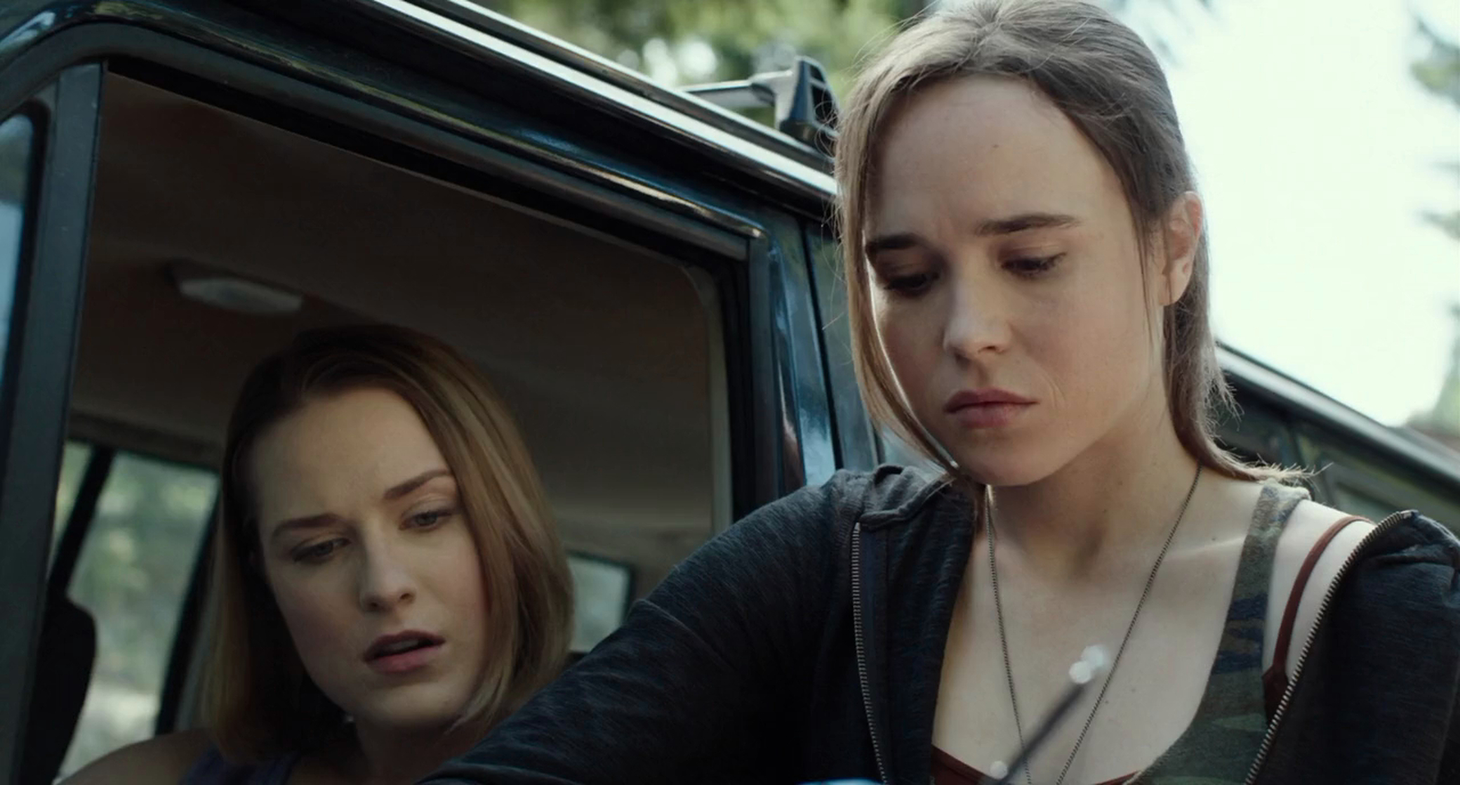 Picture of Into the Forest