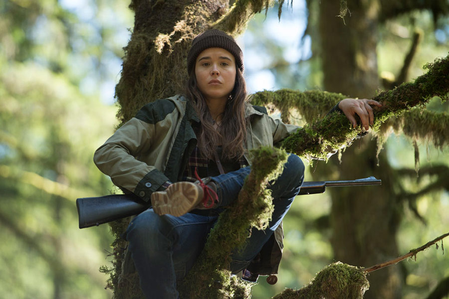Picture of Into the Forest