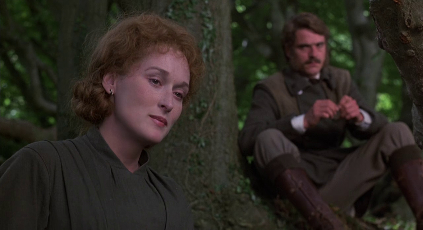 Picture of The French Lieutenant's Woman