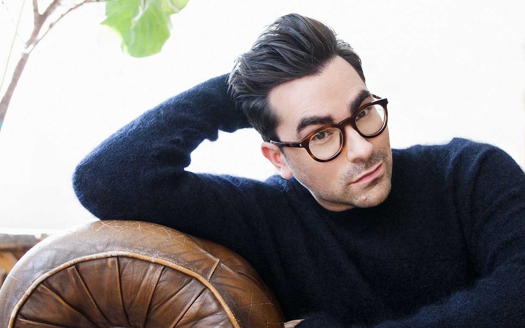 Picture of Dan Levy