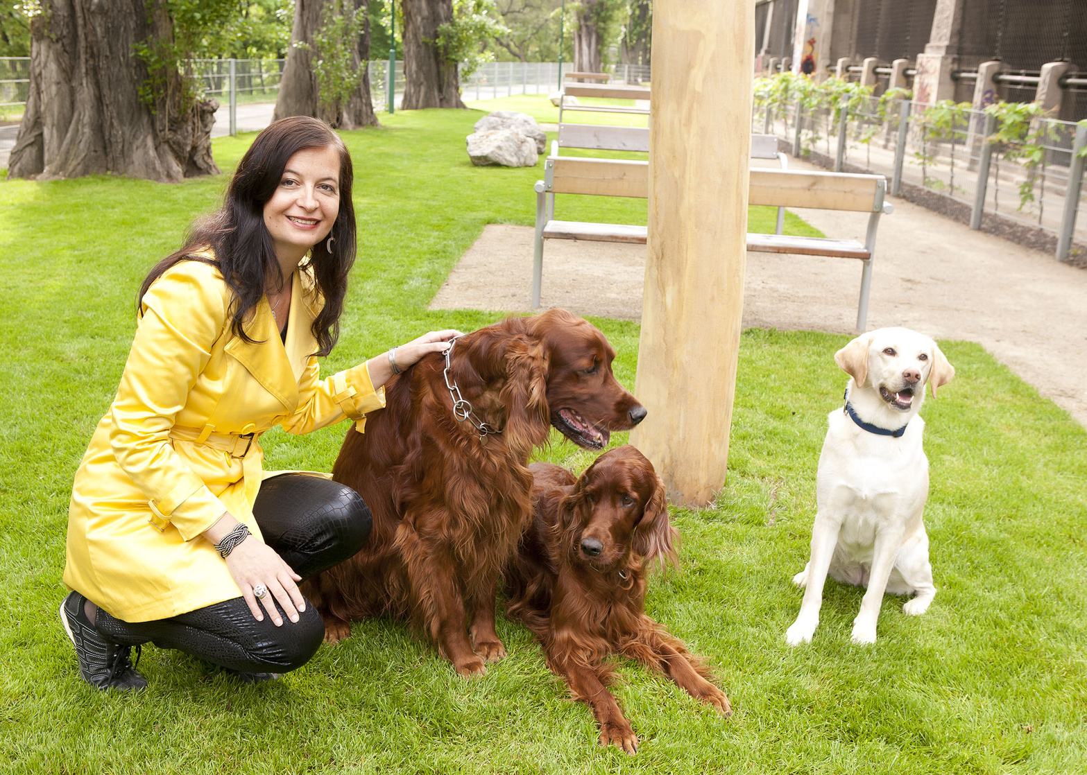 Picture of Ulli Sima