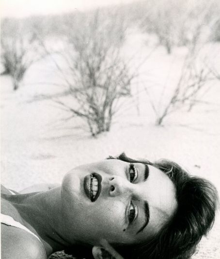 Image of Allison Hayes