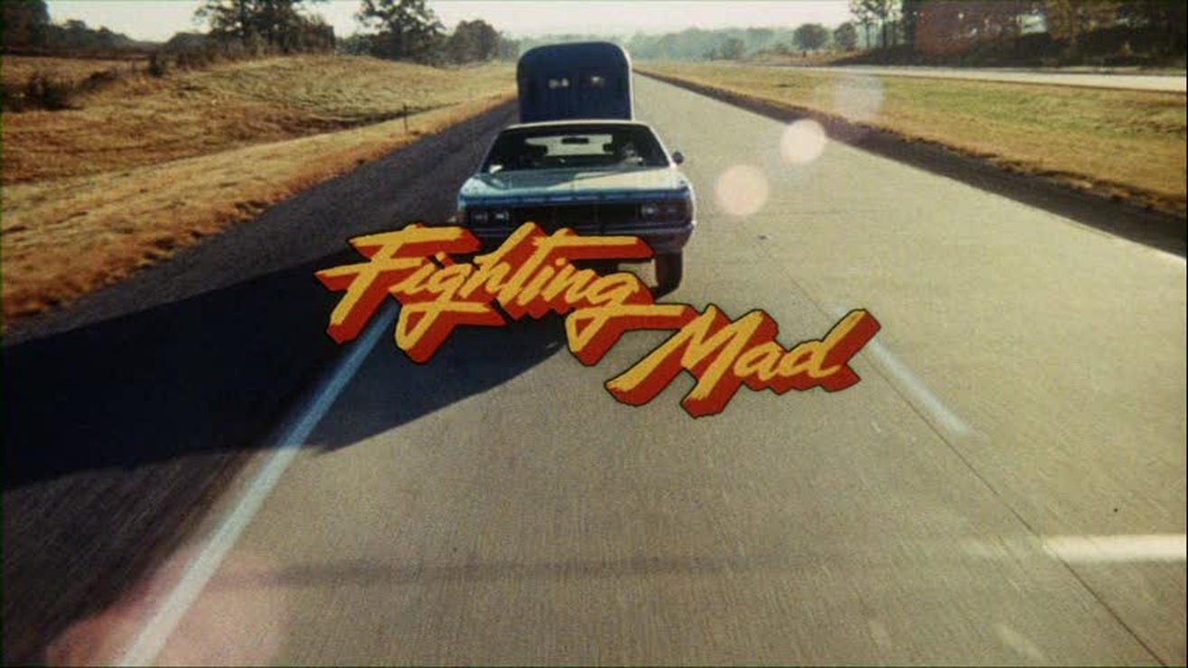 Picture of Fighting Mad