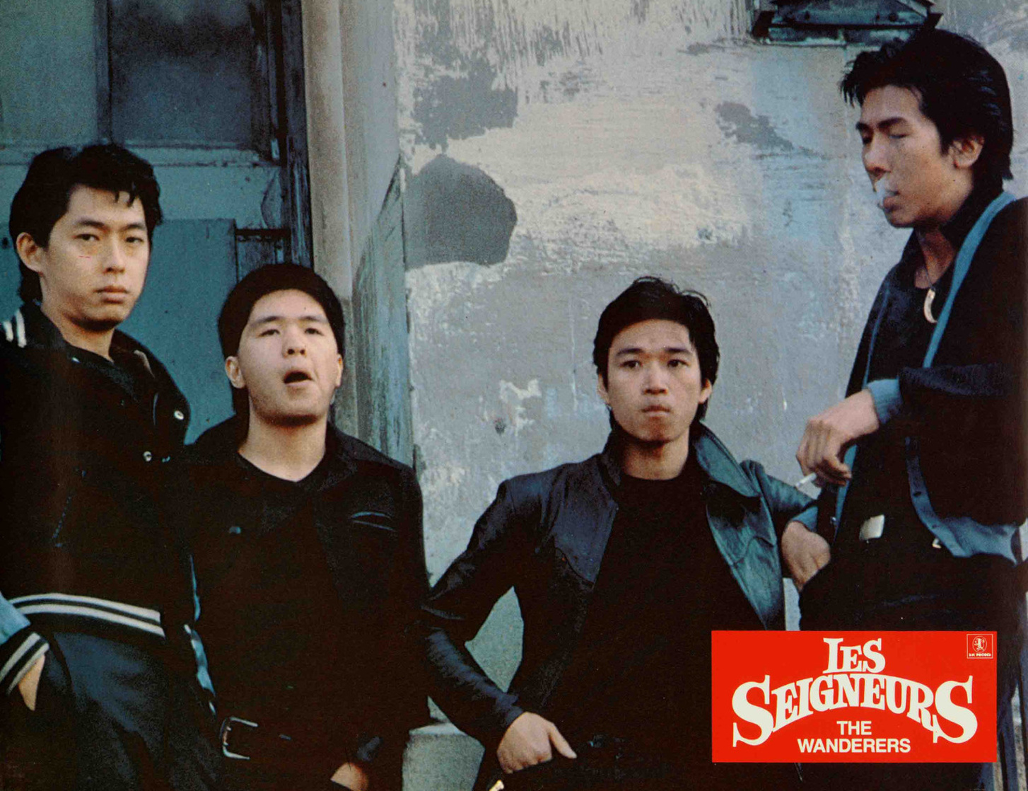 The Wanderers picture