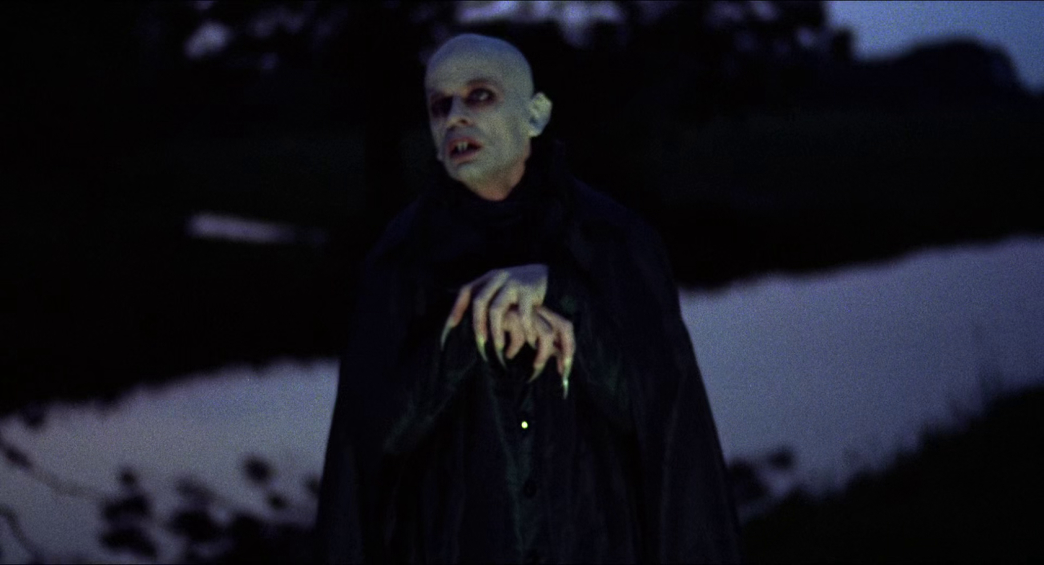 Picture of Nosferatu the Vampyre