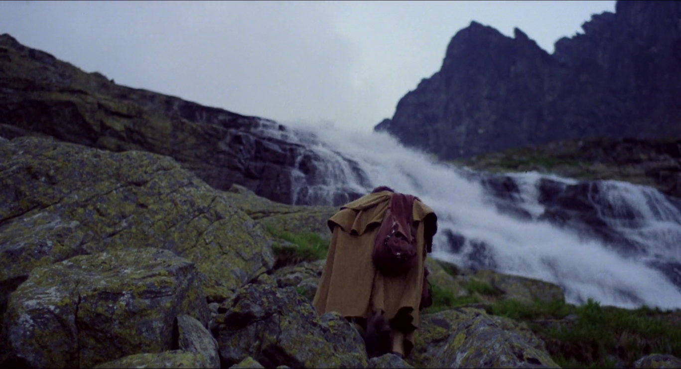 Nosferatu the Vampyre picture