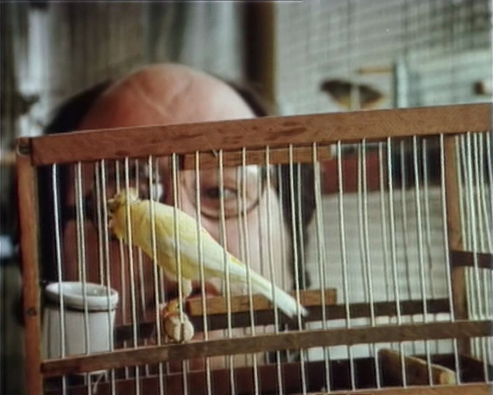 Picture of The Asthenic Syndrome