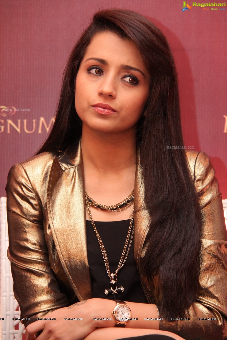 Picture of Trisha Krishnan